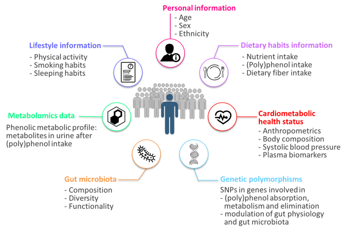 PREDICT-CARE in a nutshell
